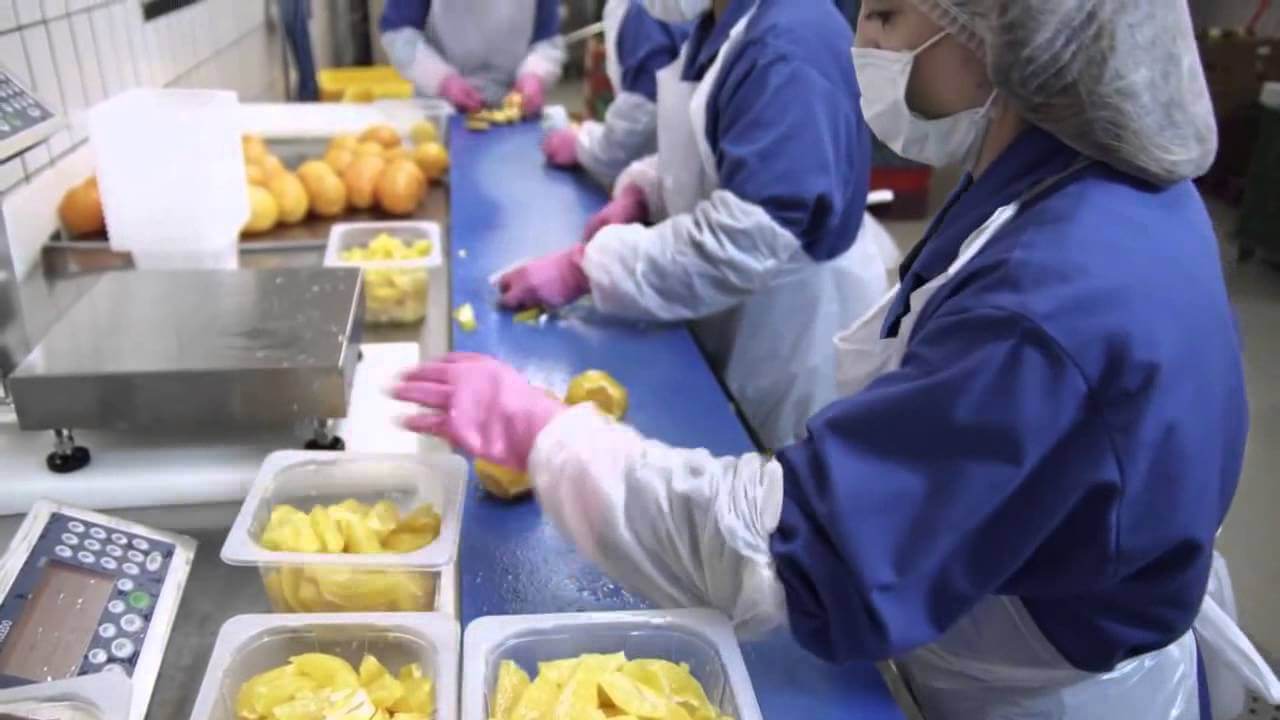 ICS429 Bench Scale | Atlantic Scale